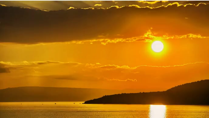 This Design Template is not available | PosterMyWall