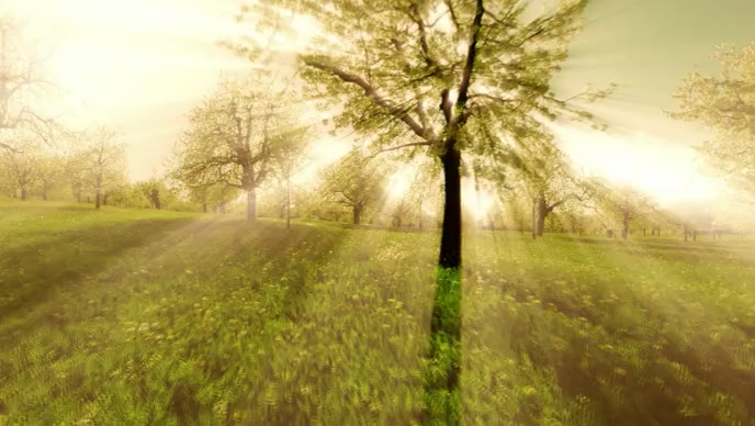 Copy of beautiful sunlight | PosterMyWall