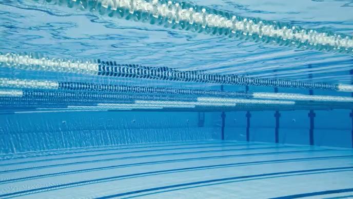 Beautiful swimming Template | PosterMyWall