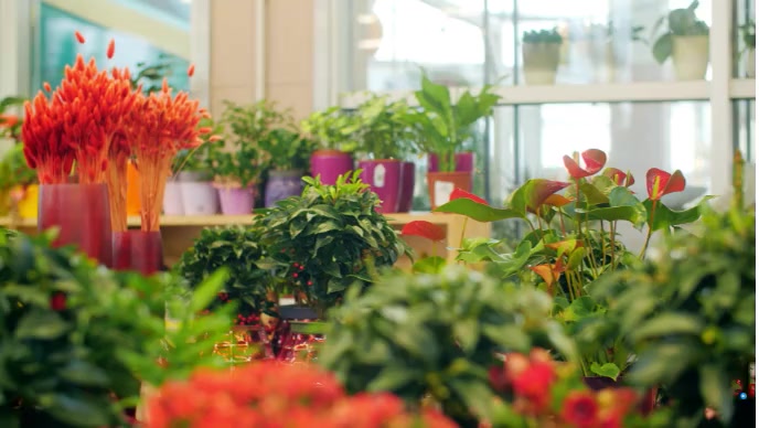 This Design Template is not available | PosterMyWall