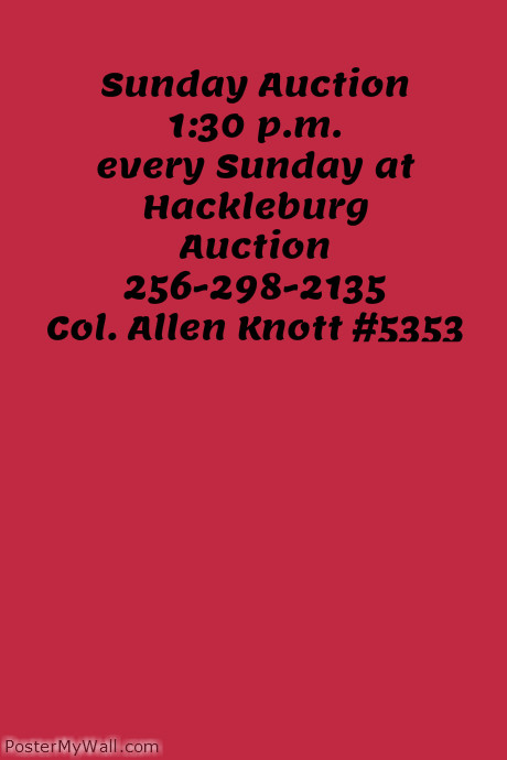 Sunday Auction | PosterMyWall