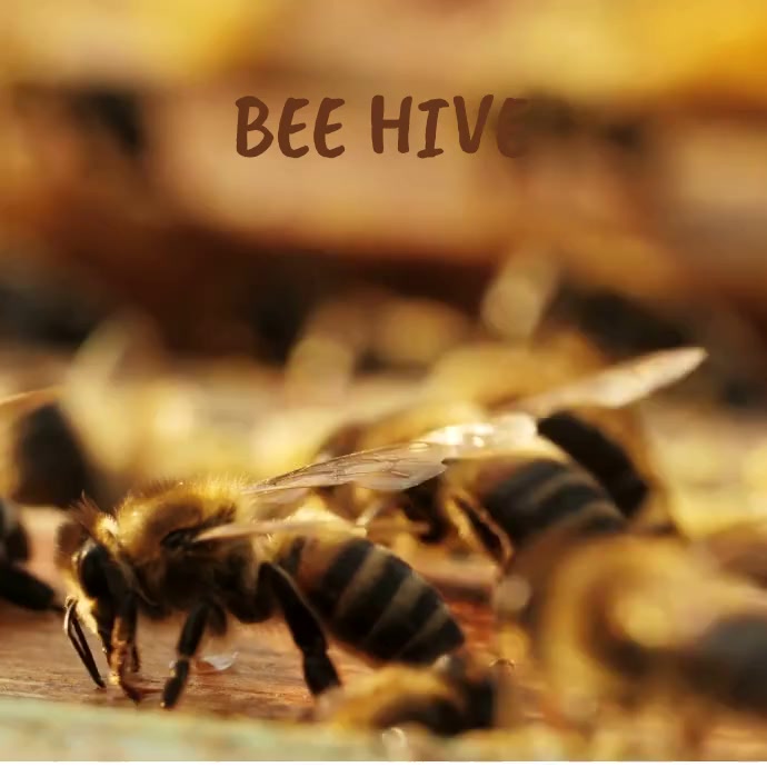 bee hive Template | PosterMyWall