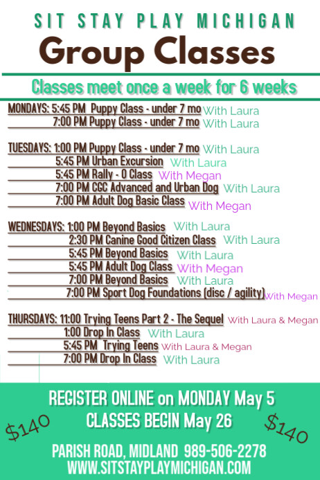 Template dog vet | PosterMyWall