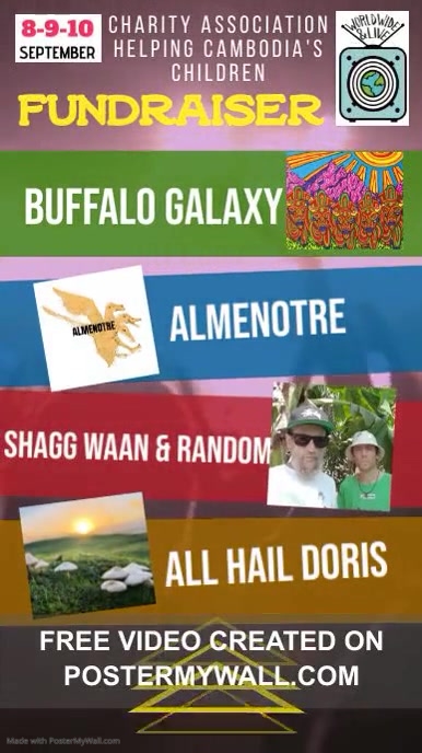 Music Festival Band Event Schedule Story (1) | PosterMyWall