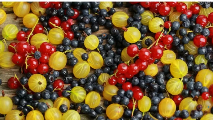 This Design Template is not available | PosterMyWall