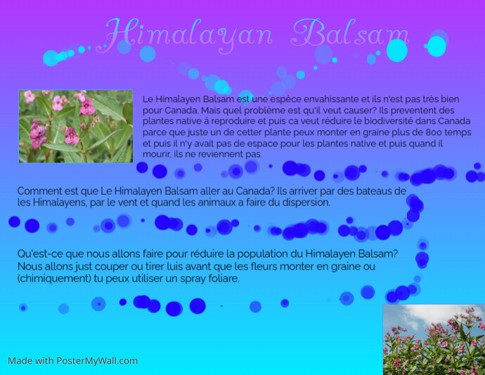 Sejal | PosterMyWall