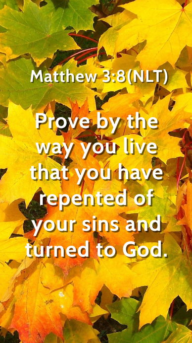 Bible Quote Whatsapp Status Template | PosterMyWall