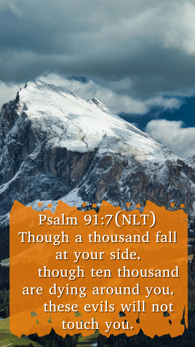 Bible Quote Whatsapp Status Template | PosterMyWall