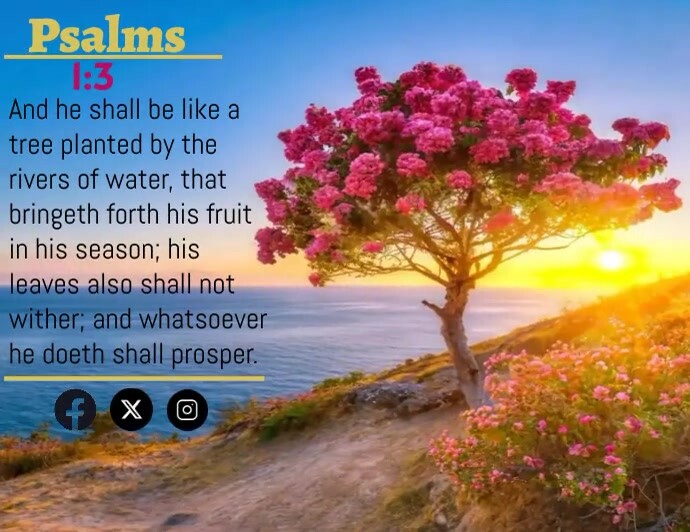 Bible verse animation template | PosterMyWall