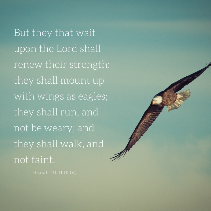 Bible Verse Instagram Template | PosterMyWall