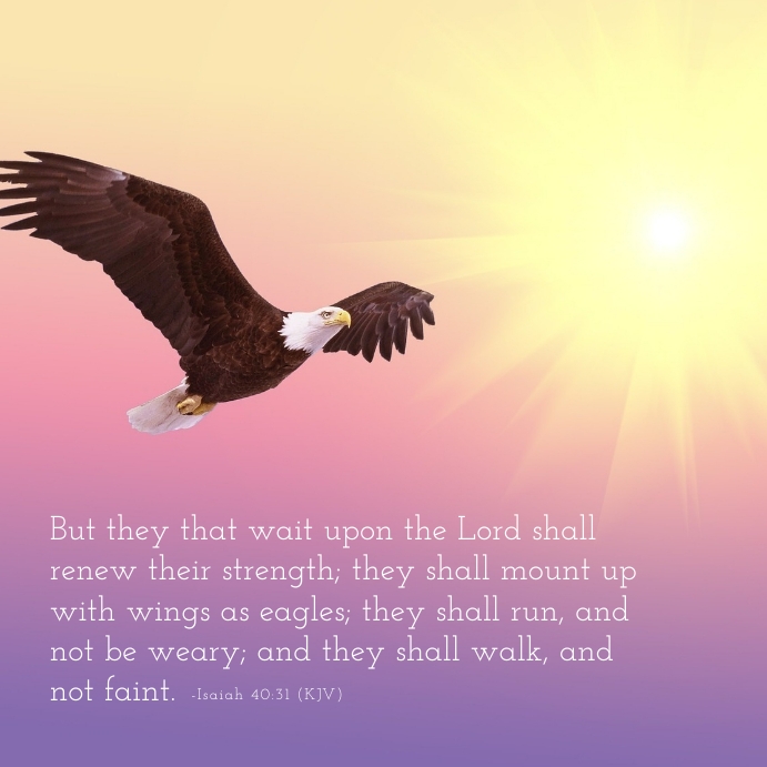 Bible Verse Instagram Template | PosterMyWall