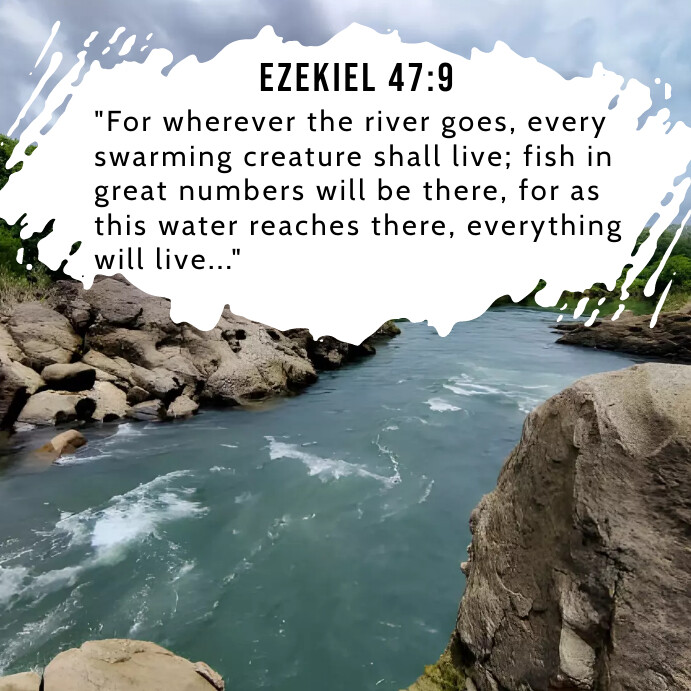 Plantilla de Bible verse poster | PosterMyWall