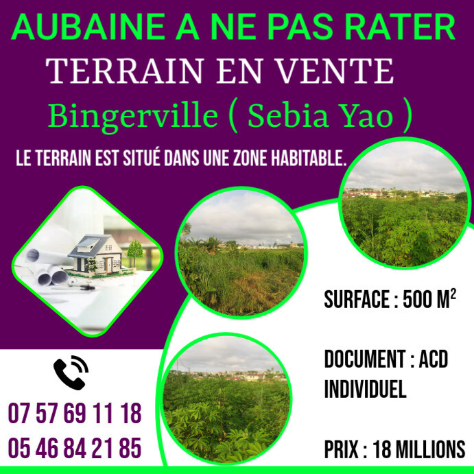 Modèle BING SEBIA YAO | PosterMyWall