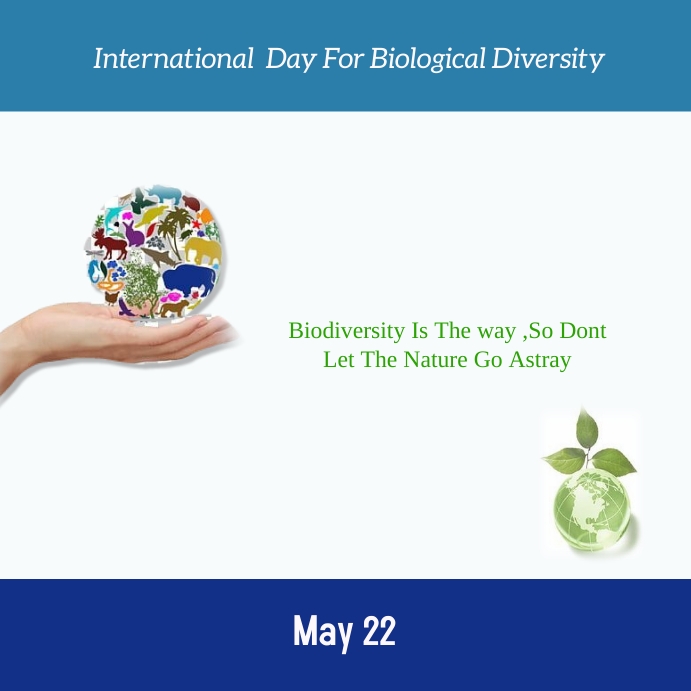 Copy of bio diversity | PosterMyWall