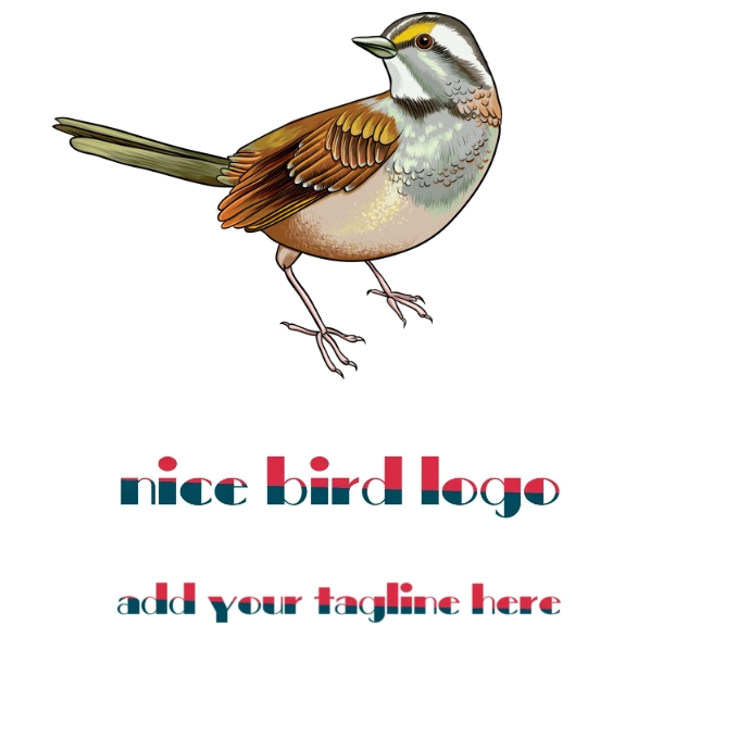 bird company bird logo Template | PosterMyWall