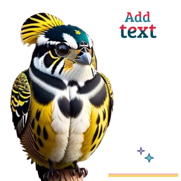 Bird Template | PosterMyWall