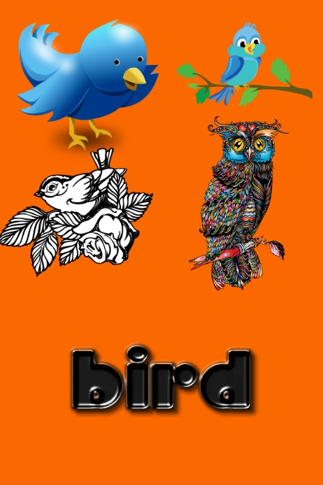 Copy of bird | PosterMyWall