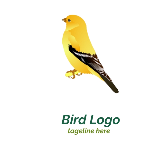 bird logo Template | PosterMyWall