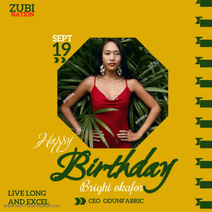 birthday (2) Template | PosterMyWall