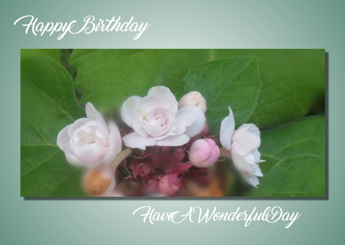 Birthday Postcard Template | PosterMyWall