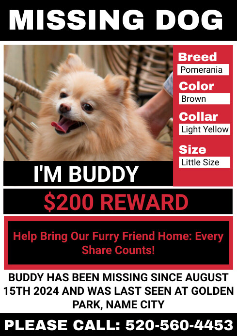 Black Grunge Missing Dog A4 Template | PosterMyWall