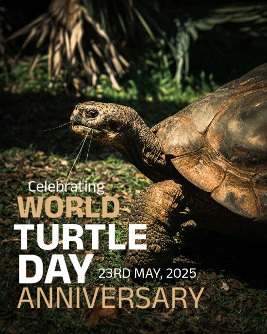 Plantilla de Black Joyful World Turtle Day Instagram Portrait ...