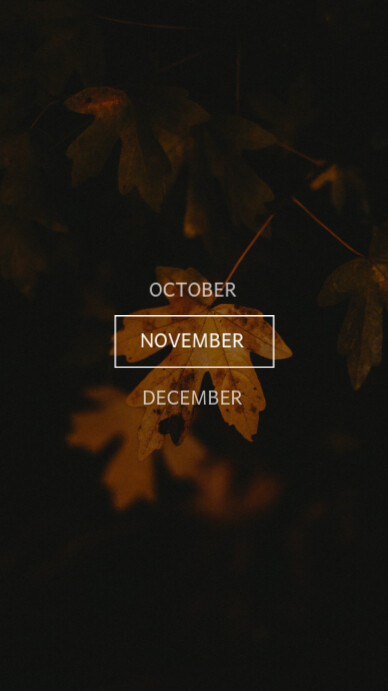 Black Minimalist Autumn Hello November Instagram Story Template ...