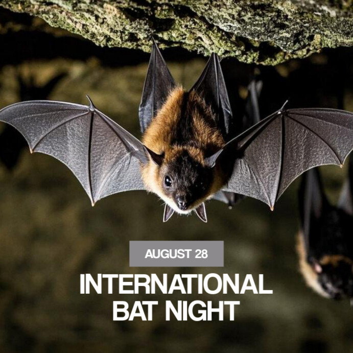 Black Modern & Minimal International Bat Night Instagram Post Template ...