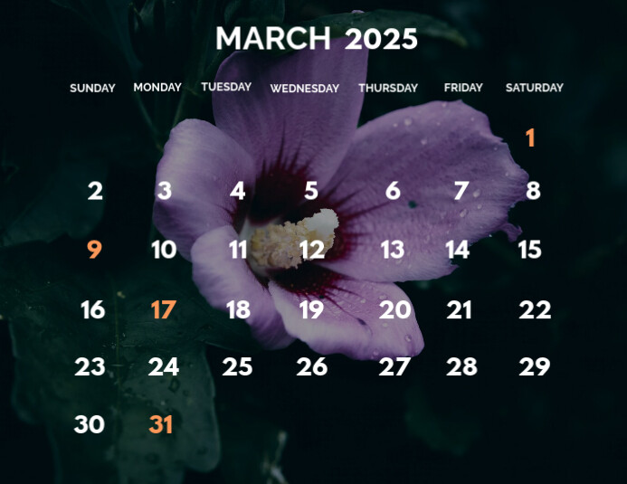 Black Modern & Minimal March 2025 Calendar Flyer (us Letter) Template ...