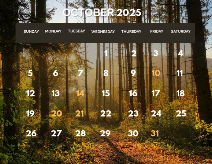 Black Modern & Minimal October 2025 Calendar Flyer (us Letter) Template ...