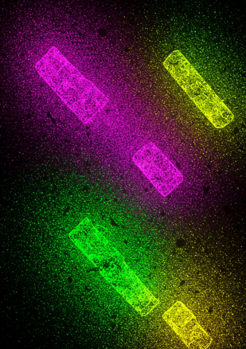 Plantilla de Black Neon Abstract Geometric Background A4 | PosterMyWall