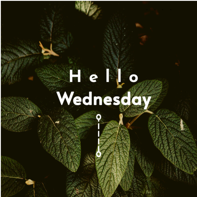 Black Pastel White & Green Simple Hello Wednesday Greeting Facebook ...