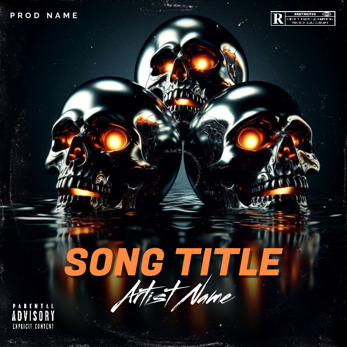 Black Professional 3d Skull Album Cover Modelo | PosterMyWall