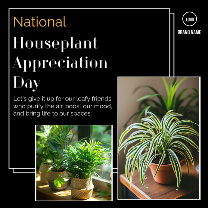 Plantilla de Black Professional National Houseplant Appreciation Day ...