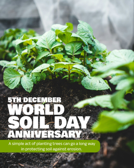 Black Professional World Soil Day Instagram Portrait Template ...