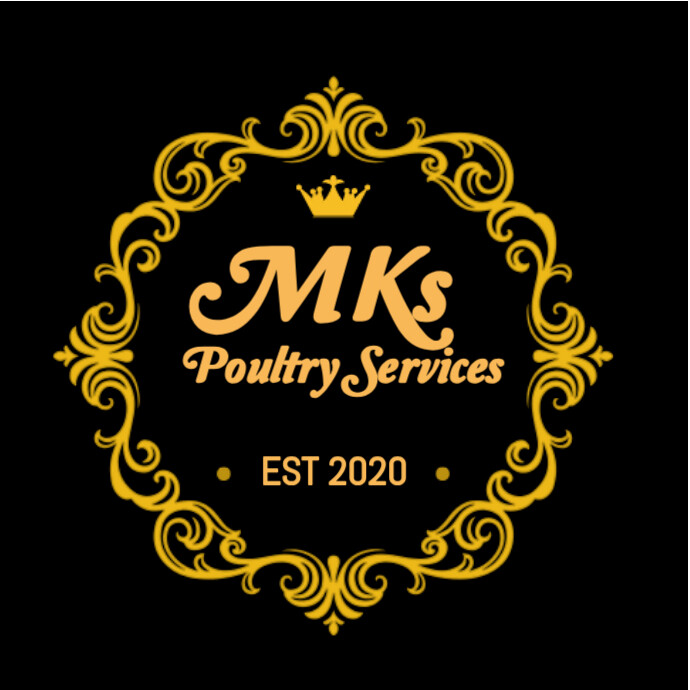 Black Typographic Logo Logo Templat | PosterMyWall