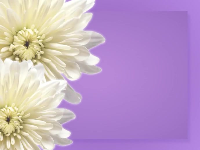 Blank Flower Cards Templat | PosterMyWall