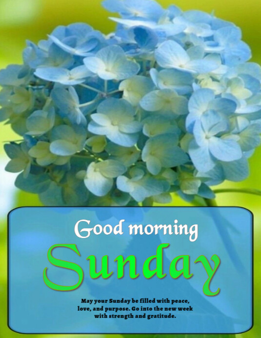 Blue Floral Good Morning Sunday Flyer (us Letter) Template | PosterMyWall