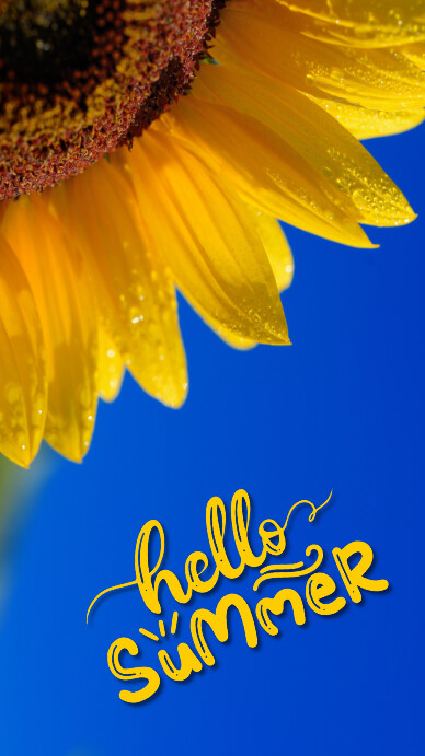 Blue Floral Hello Summer Instagram Story Templat | PosterMyWall