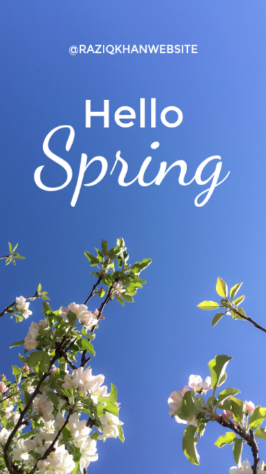 Blue Floral Spring Announcement Instagram Story Template | PosterMyWall