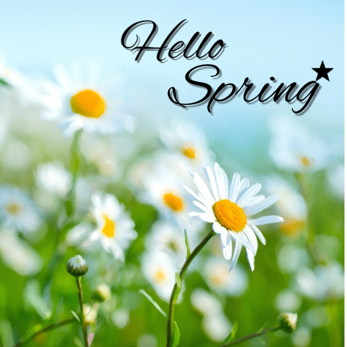 Plantilla de Blue Hello Spring Follwer Instagram Post | PosterMyWall