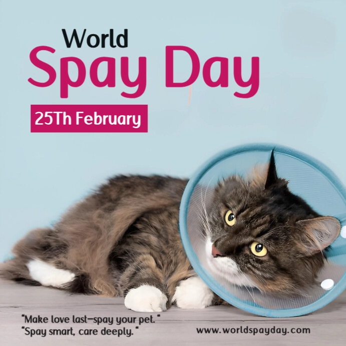 Blue Illustrative World Spay Day Template Instagram Post | PosterMyWall