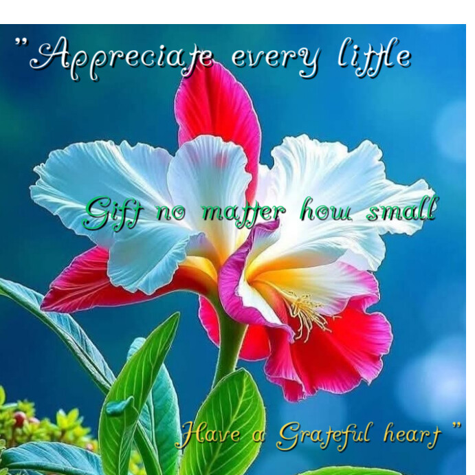 Blue Joyful Appreciation Quotes Instagram Post Template | PosterMyWall