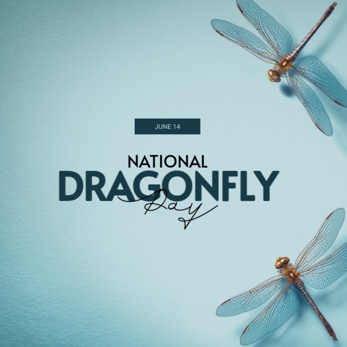 Copy of Blue Modern & Minimal National Dragonfly Day Instagram Post ...