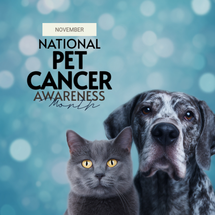 Blue Modern & Minimal National Pet Cancer Awareness Month Instagram ...