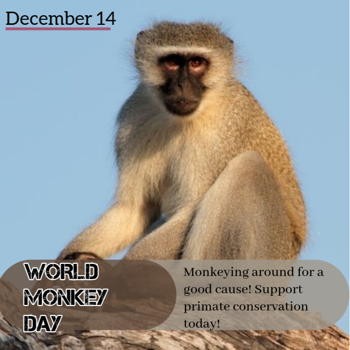 Blue Modern & Minimal World Monkey Day Instagram Post Instagram Post ...