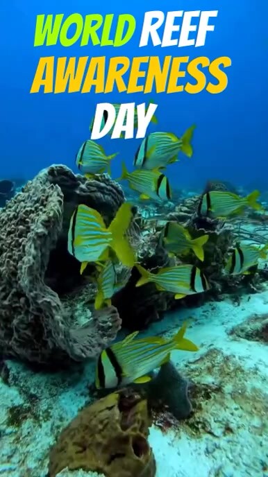 Copy of Blue Pastel World Reef Awareness Day Instagra | PosterMyWall