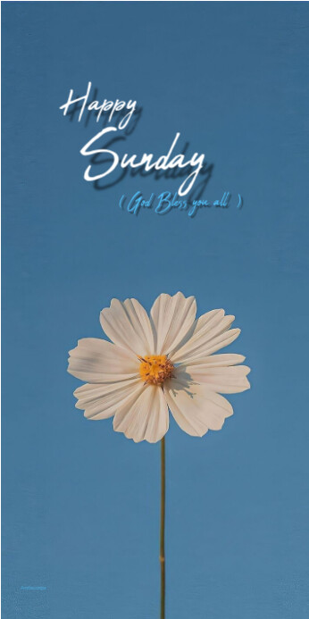 Blue Profesional Happy Sunday Spanduk Gulir Atas 3' × 6' Template ...