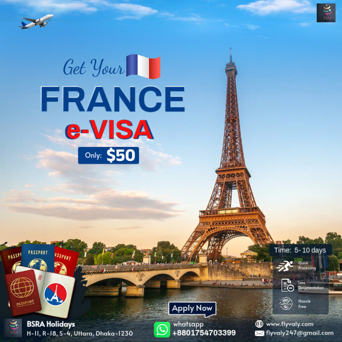 Copy of Blue Professional France E-visa Ads Design Template Instagram ...