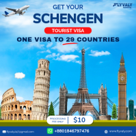 Blue Professional Schengen Visa Poster Design Template Instagram Post ...